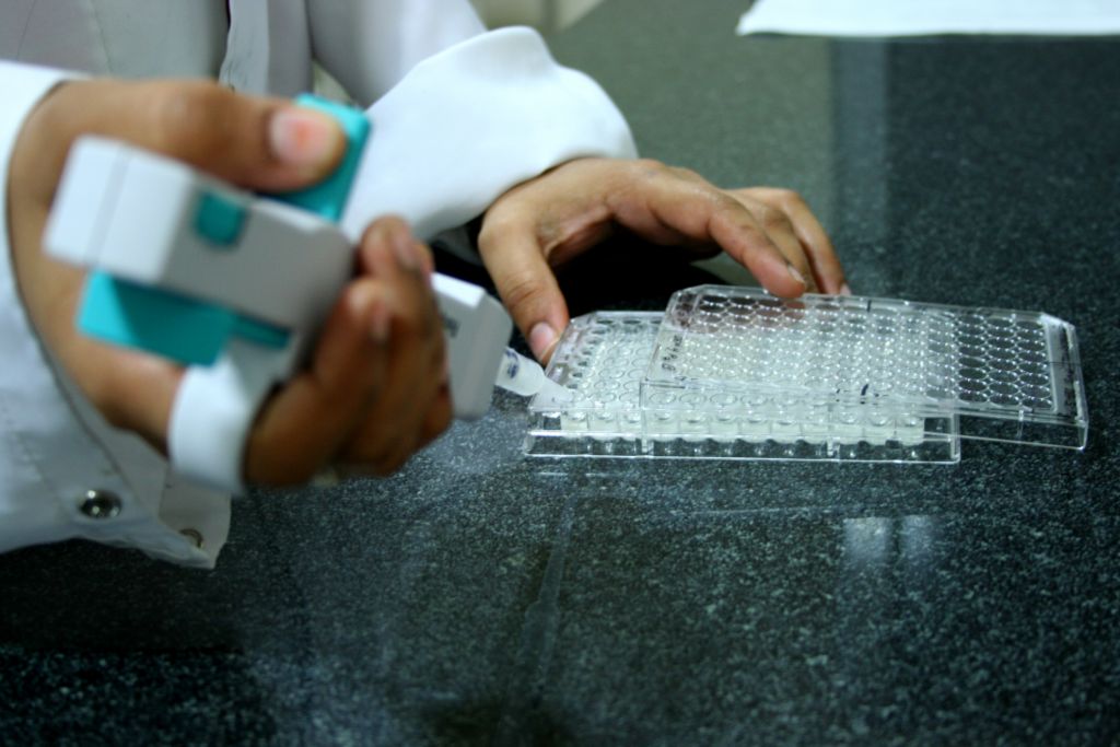 Sequencing a superbug: How typhoid became extensively drug-resistant ...