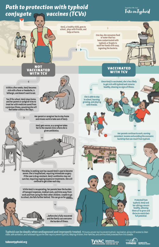 Infographics - Take on Typhoid