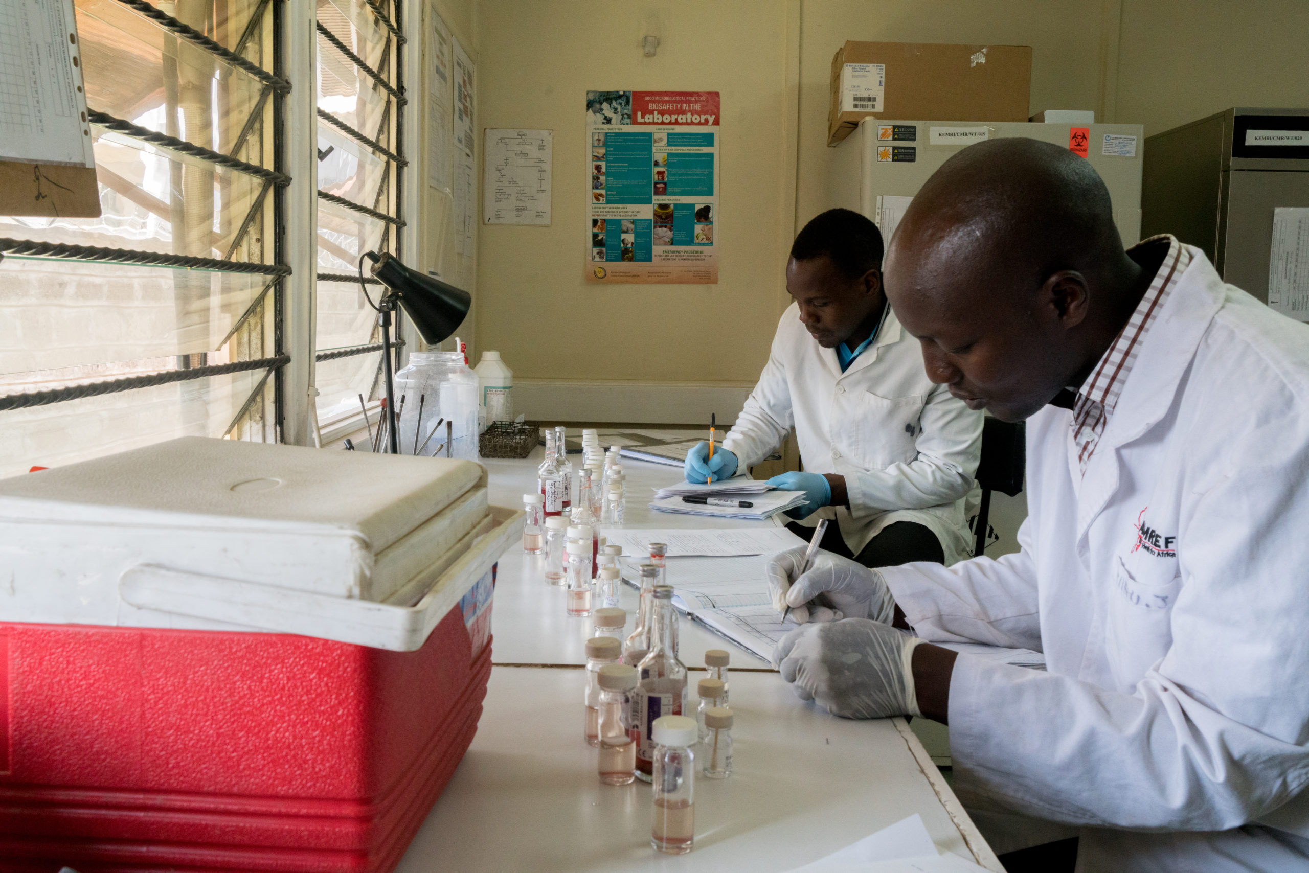 Stories of Typhoid: In the Lab with Timothy Mutuma - Take on Typhoid