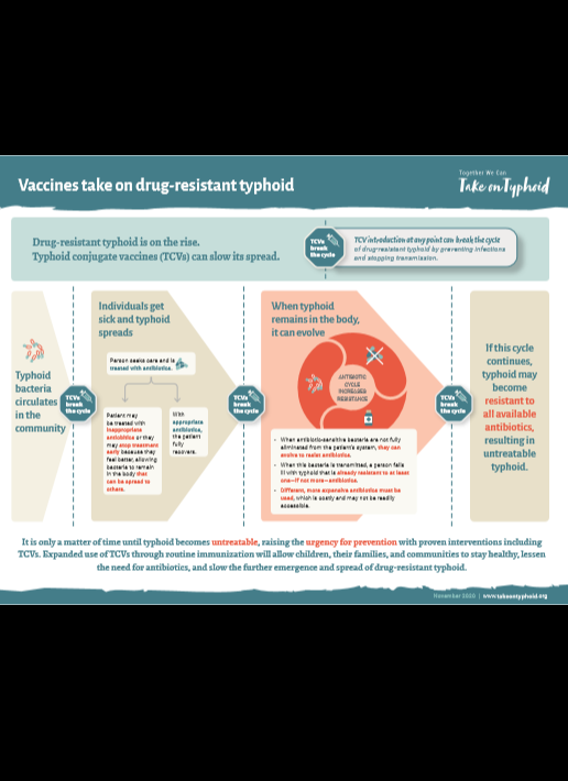 Infographics - Take on Typhoid